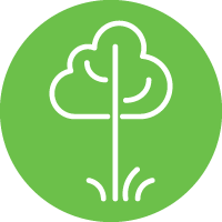 Outcome 3: Shaping a sustainable future | InfrastructureSA